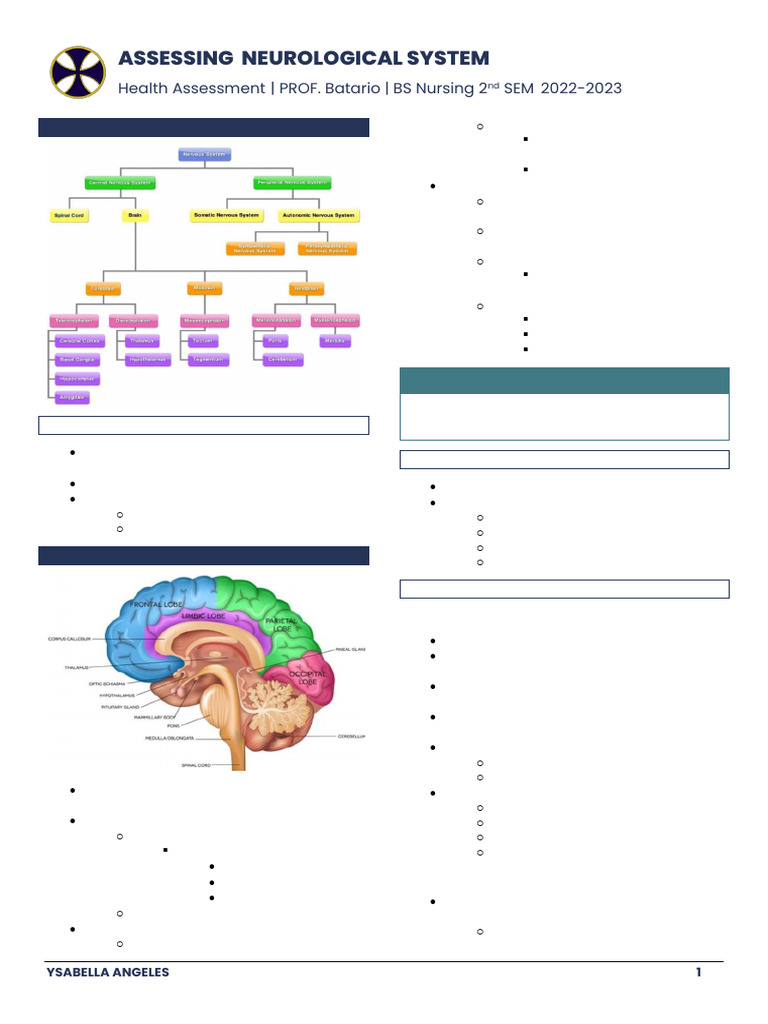 07.1 - Assessing Neurological System | PDF | Central Nervous System ...