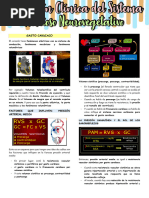 Tansiloprost Duo: Usos y Efectos Secundarios | PDF | Drogas | Farmacología