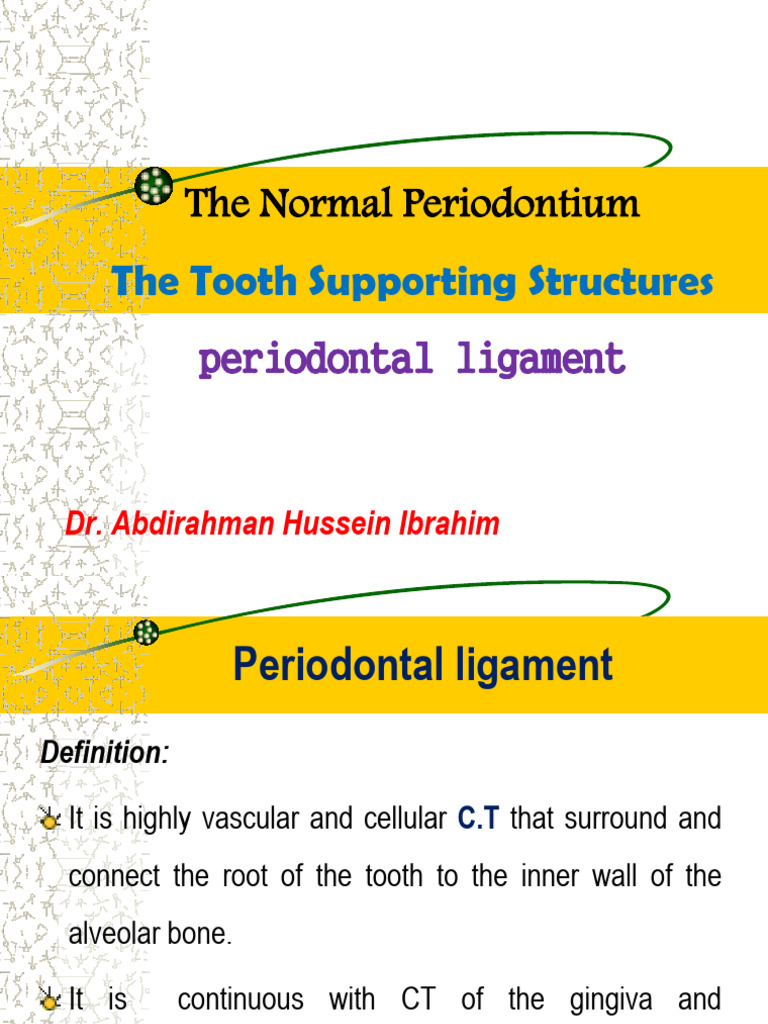 Understanding the Periodontal Ligament | PDF | Human Tooth | Anatomy