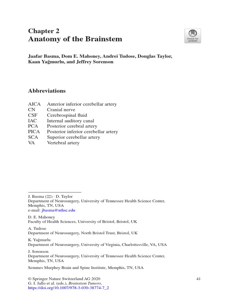 Chapter 2 Anatomy of the Brainstem | PDF | Brainstem | Cerebellum