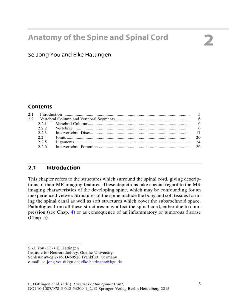 Anatomy of The Spine and Spinal Cord | PDF | Vertebra | Vertebral Column