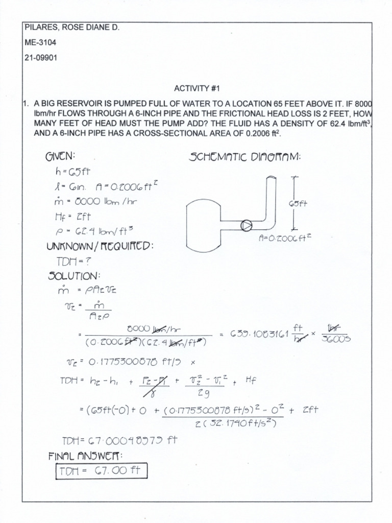 Pilares, Rose Diane D. - Activity 1&2 | PDF