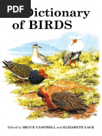 UK Gull Identification Guide | PDF | Gull | Birds