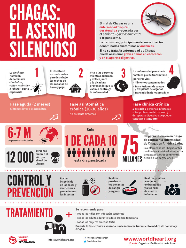 Chagas Infographic Spanish WHF | PDF | Medicina CLINICA | Ciencias de ...