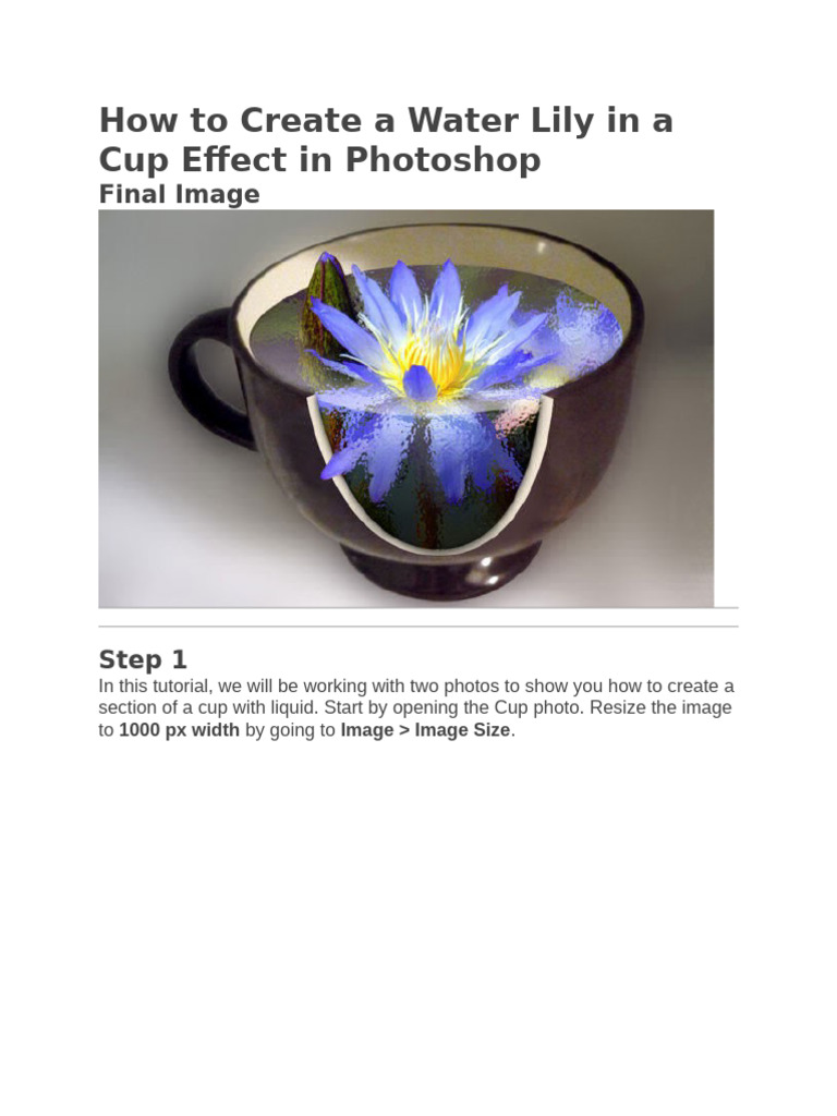 Create Water Lily Cup Effect in Photoshop | PDF | Adobe Photoshop | Signal Processing