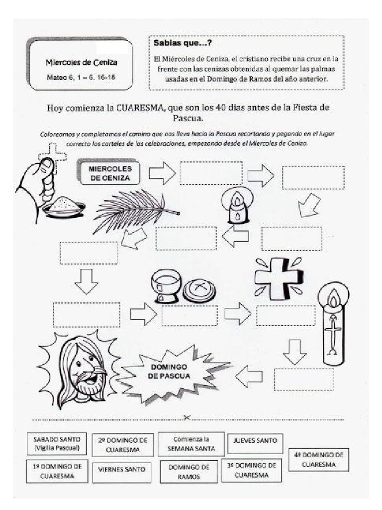Ceniza Actv - 044508 | PDF