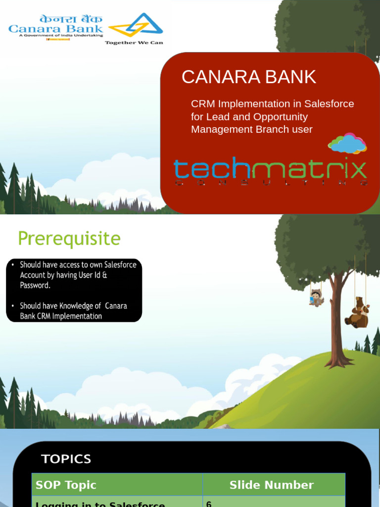 Salesforce CRM Guide for Branch Users | PDF | Login | Computing