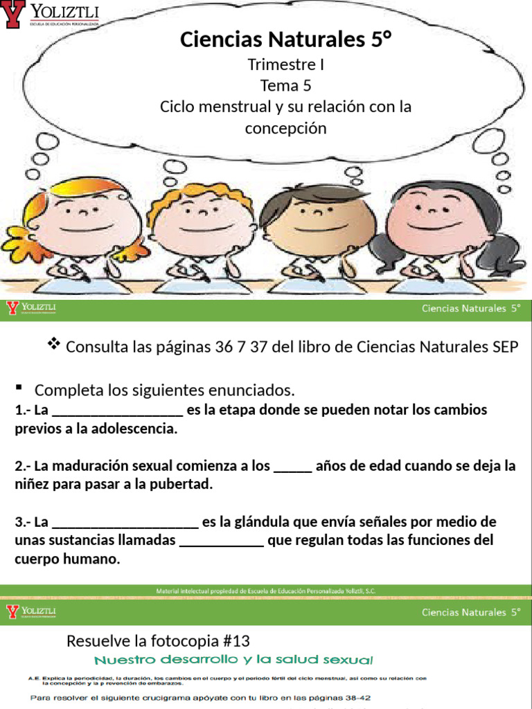 CN5.TI.T5 Ciclo Menstrual y Su Relación Con La Concepción. | PDF