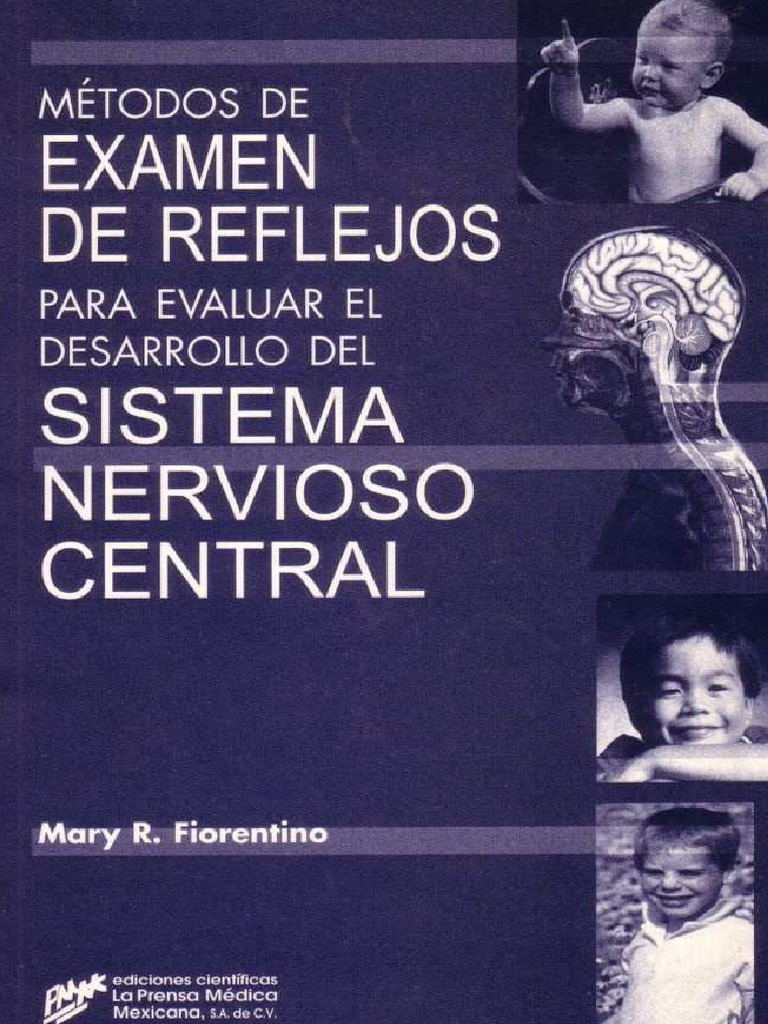 Reflejos Fiorentino | PDF