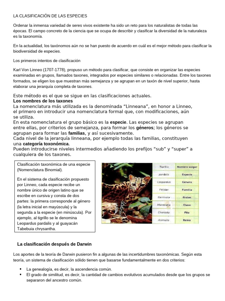 Clasificación de Especies en Taxonomía | PDF | Taxonomía (biología ...