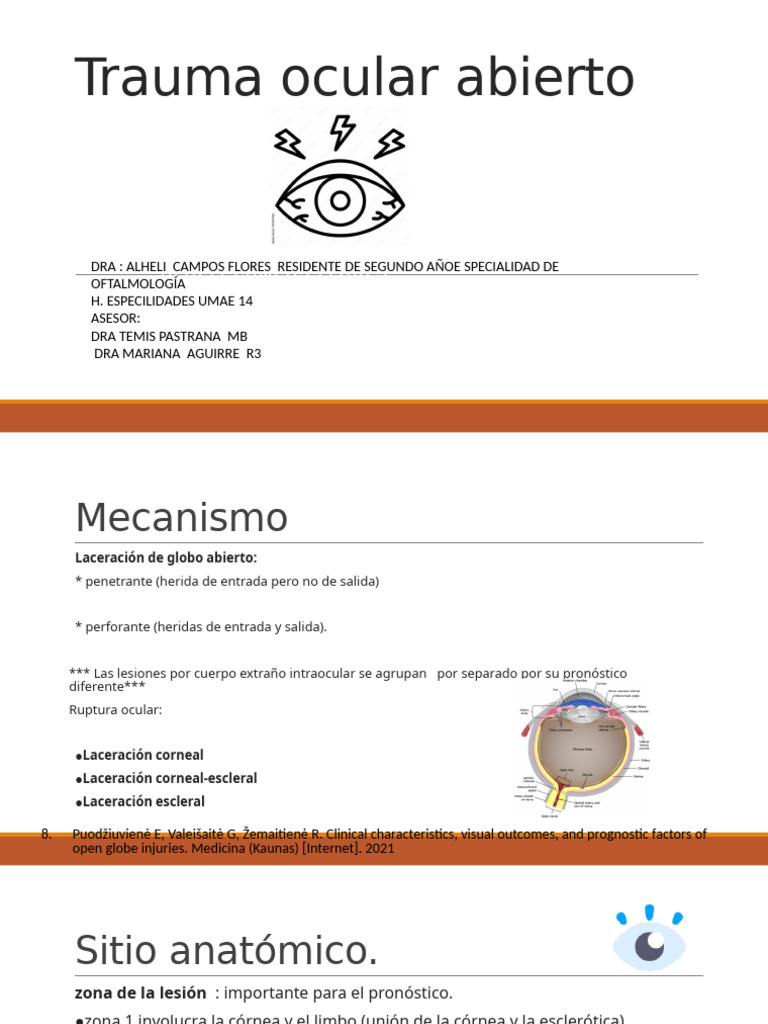 Trauma ocular abierto: características y manejo | PDF | Ojo humano ...