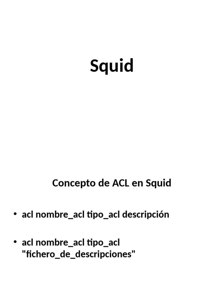 ACL Squid | PDF