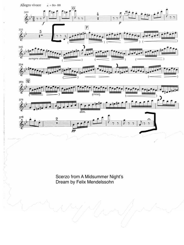 Flute Comb S25 | PDF