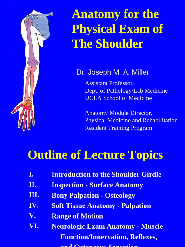 Va Lecture1-Shoulder | PDF | Shoulder | Anatomical Terms Of Motion
