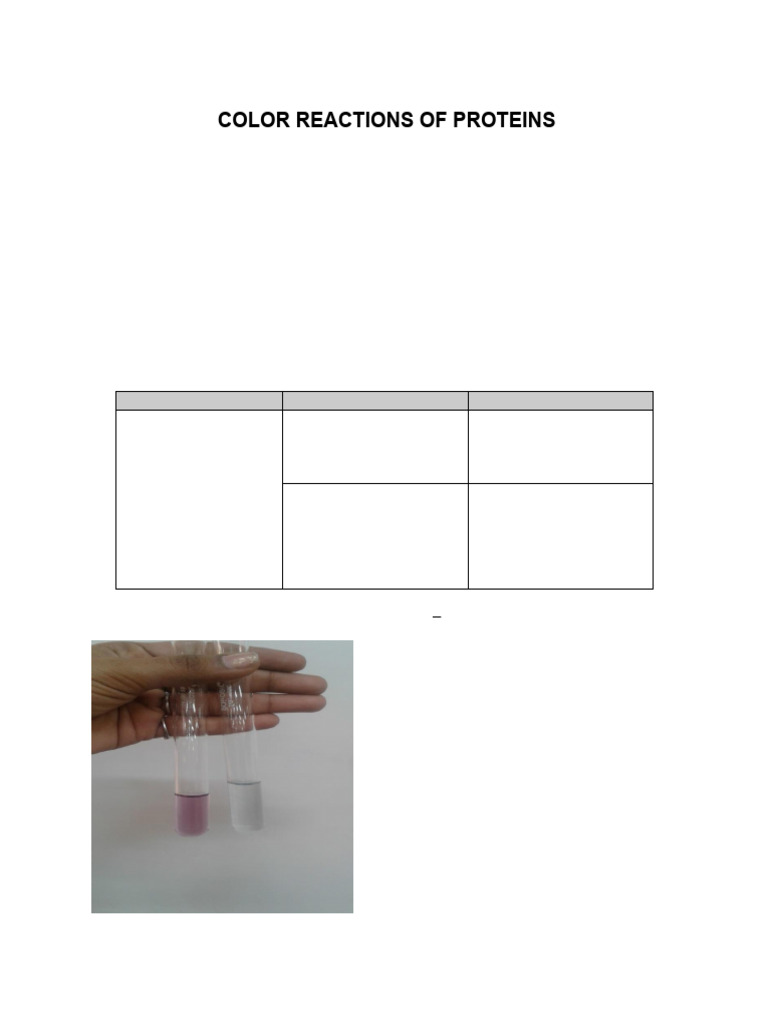 Protein Color Reaction Tests Explained | PDF | Chemical Elements | Atoms