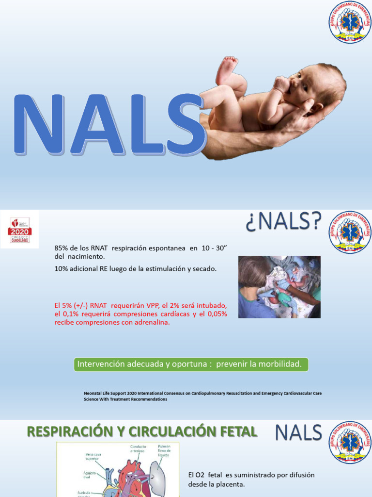 NALS Slides | PDF | Reanimación cardiopulmonar | Feto