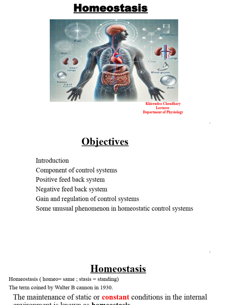 Understanding Homeostasis Mechanisms | PDF | Homeostasis | Physiology