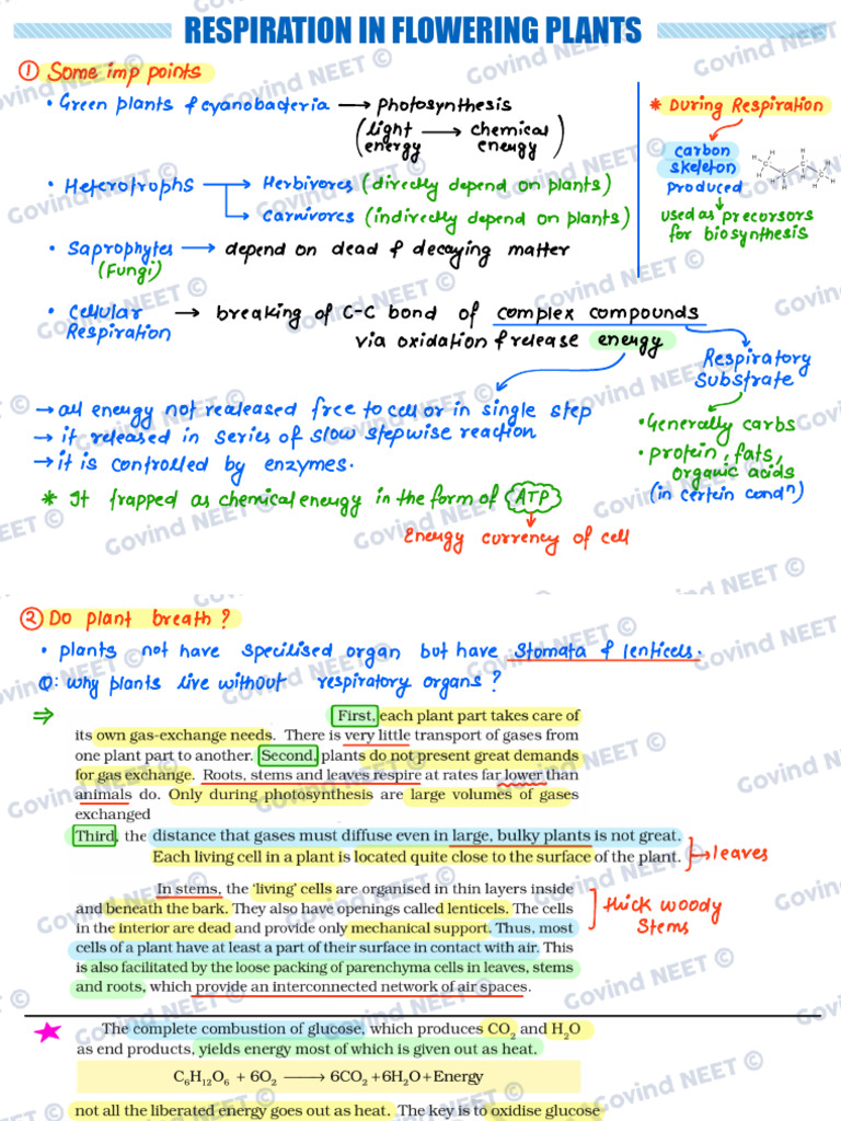 Respiration in Plants | PDF
