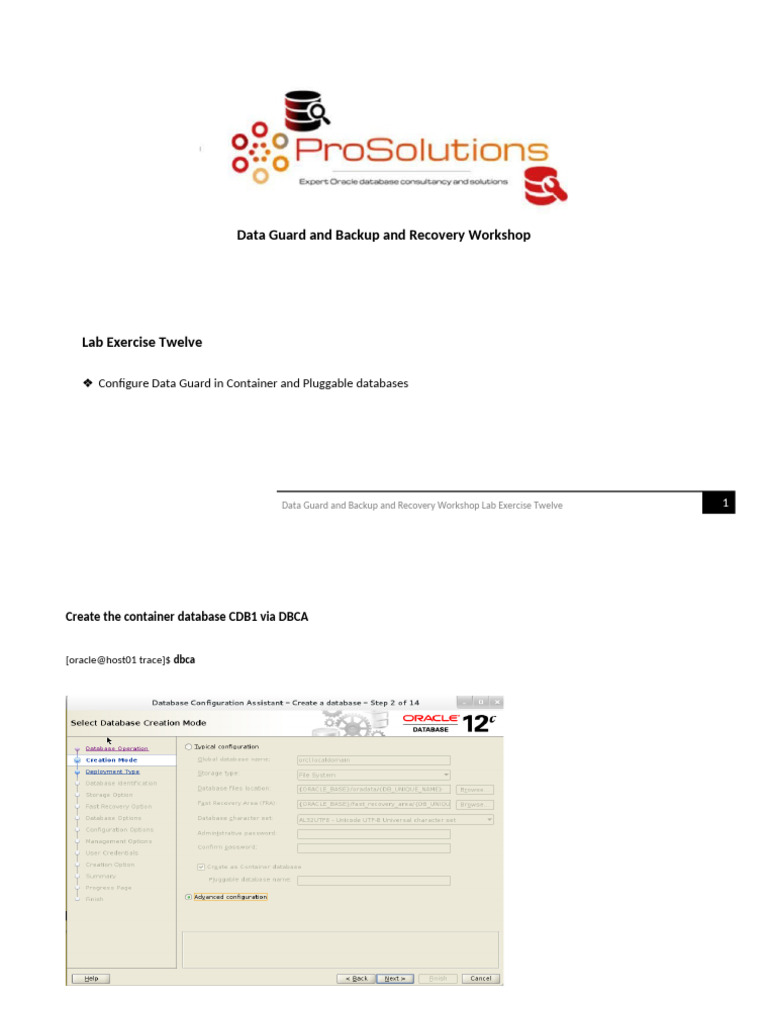 Data Guard Workshop Lab Exercise Twelve | PDF | Protein Data Bank | Databases