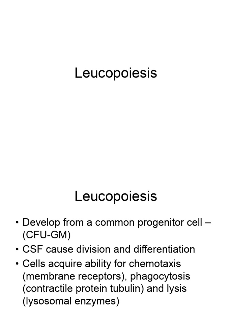 Leucopoiesis & Growth Factors | PDF | White Blood Cell | Granulocyte
