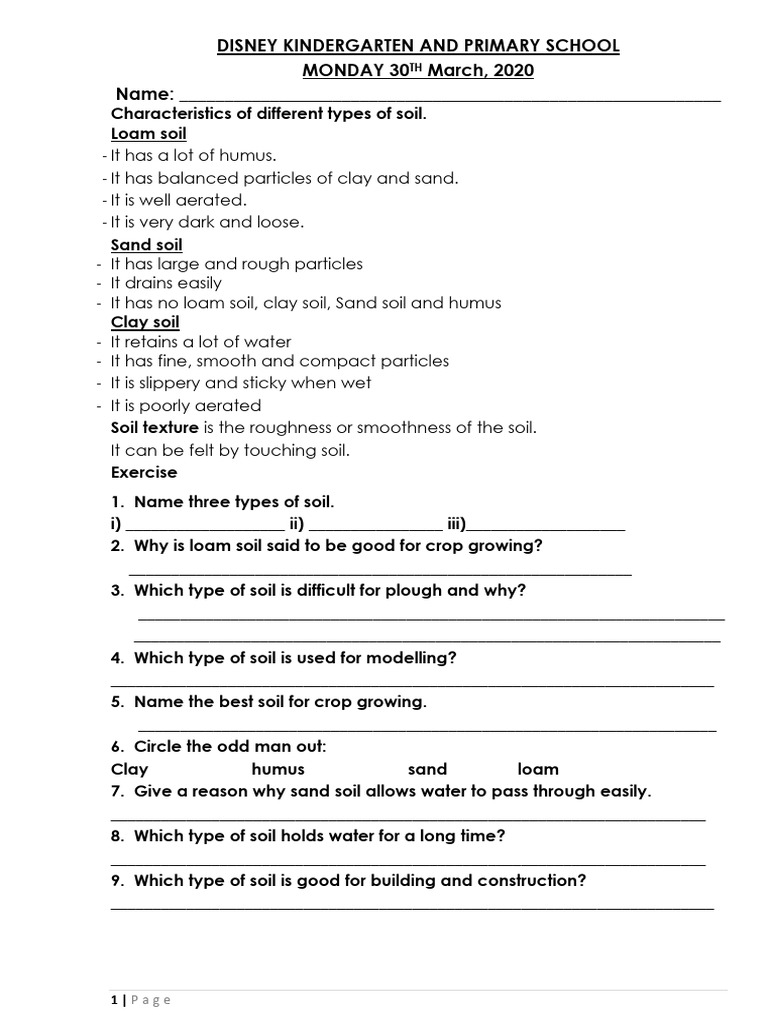 P4 Science Brief Notes and Topical Questions Disney Kindergarten and ...