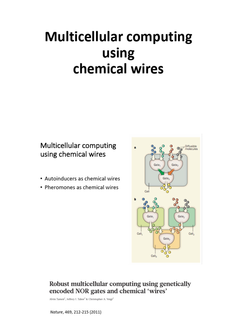 Slides - Multicellular computing using chemical wires | PDF | Logic Gate | Promoter (Genetics)