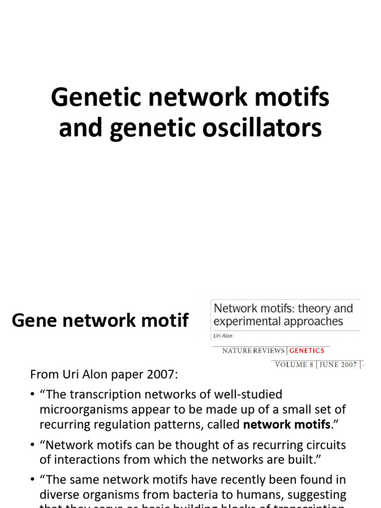 SLIDES gene network motifs and oscillators 2023 | PDF | Gene ...