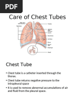 Adult Chest Tube Dressing Change Guide | PDF