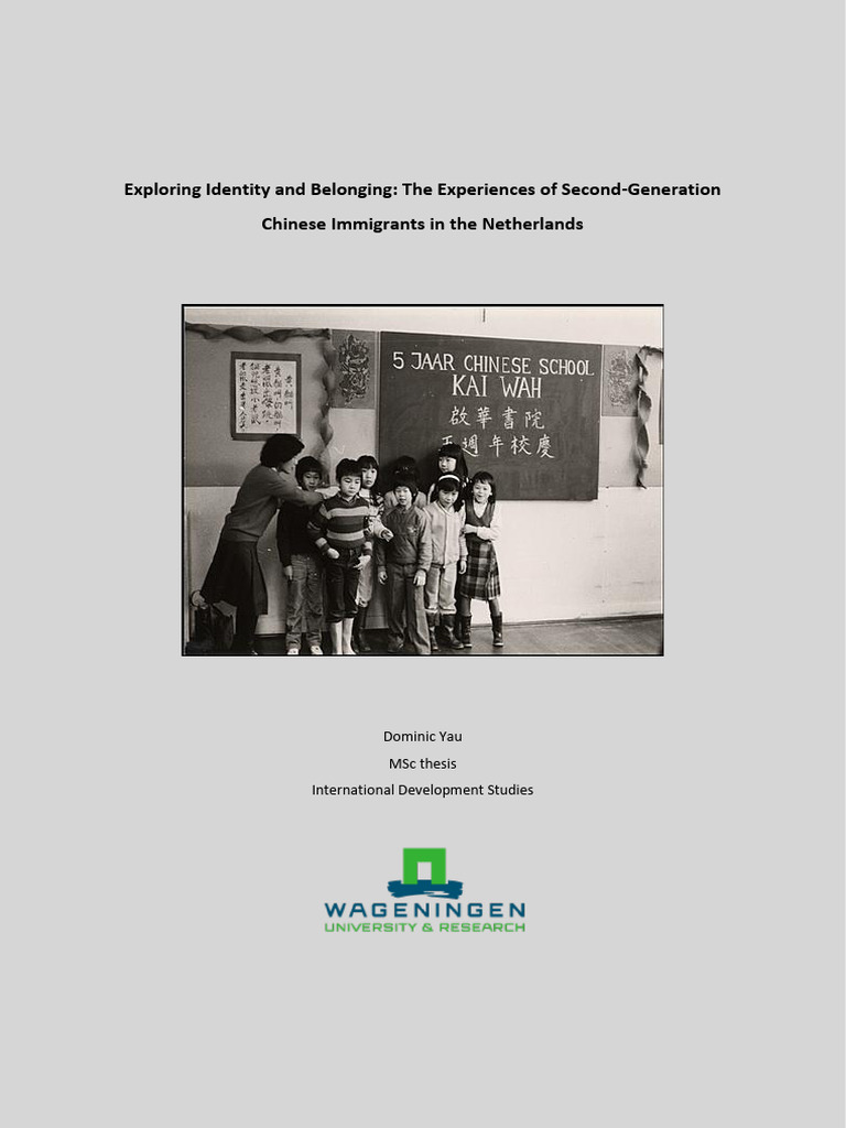 Second-Generation Chinese Identity in NL | PDF | Identity (Social ...