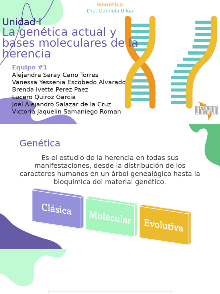 U.1 Genoma Humano | PDF | Adn | Rna