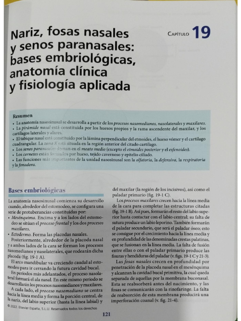 Anatomía y Fisio Nariz y Senos Paranasales | PDF