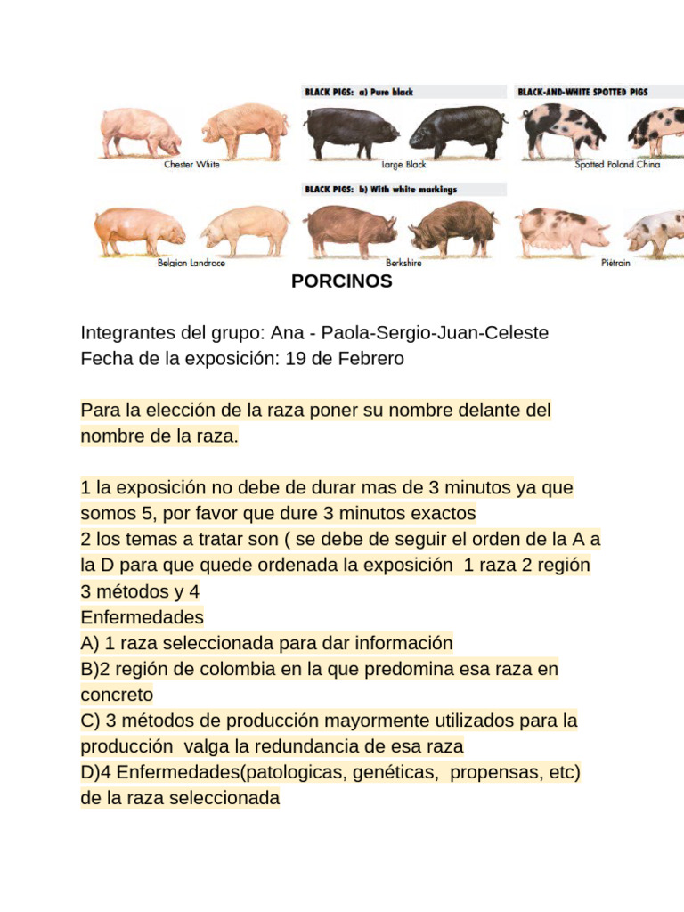 Razas de Porcinos en Colombia: Características y Producción | PDF ...