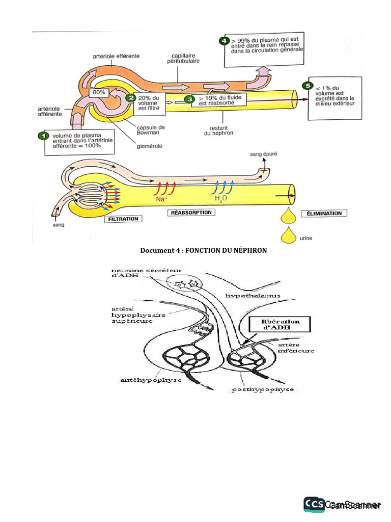 Recueil de Schema TD DRABO | PDF