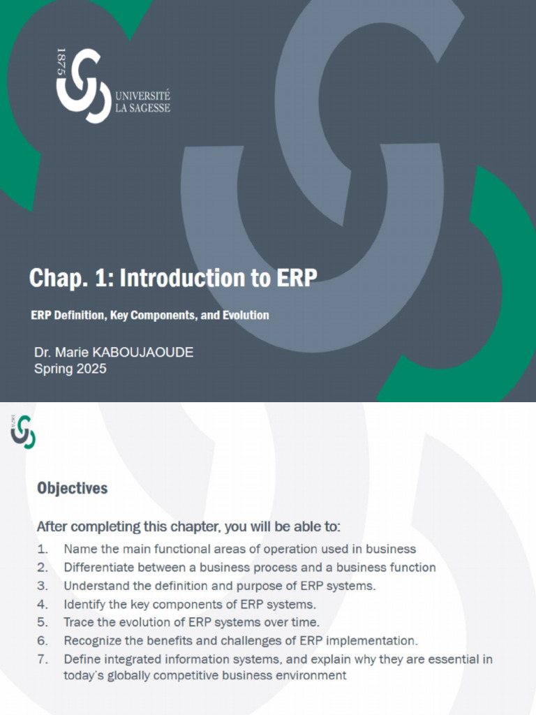 MGE650 - (Intro To ERP) Chapter 1 C1 | PDF