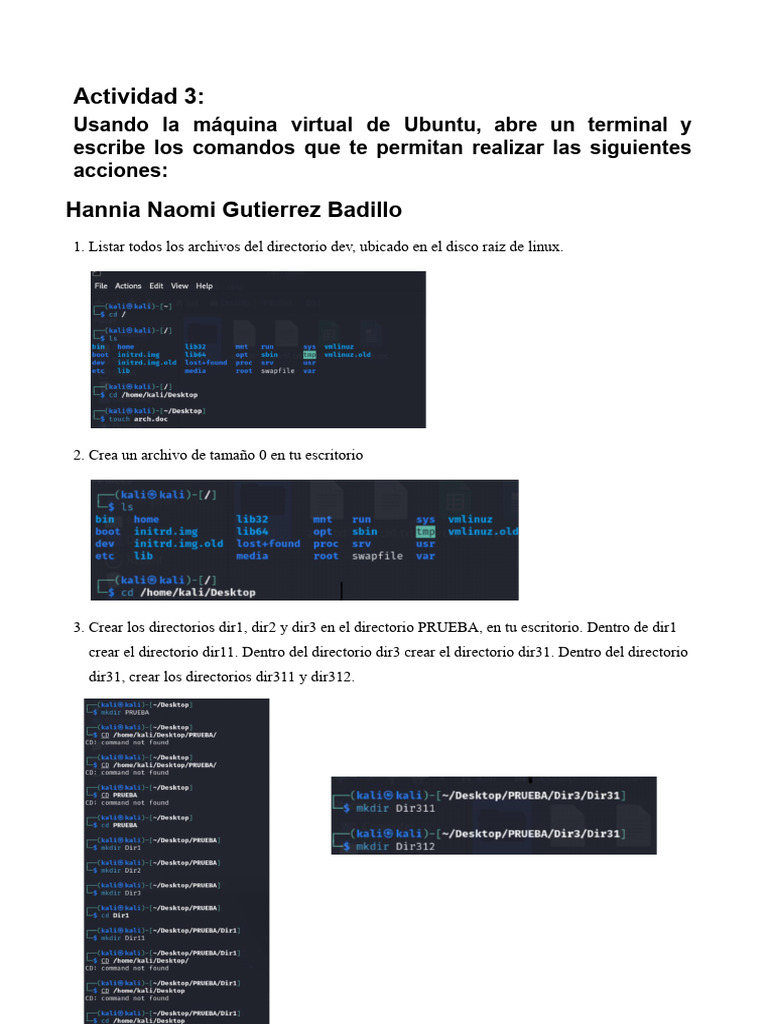 Ejercicios Comandos Linux | PDF
