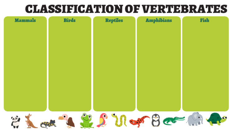 Dark Green Classification of Vertebrates Group Work (1) | PDF