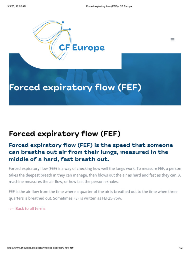 Understanding Forced Expiratory Flow (FEF) | PDF