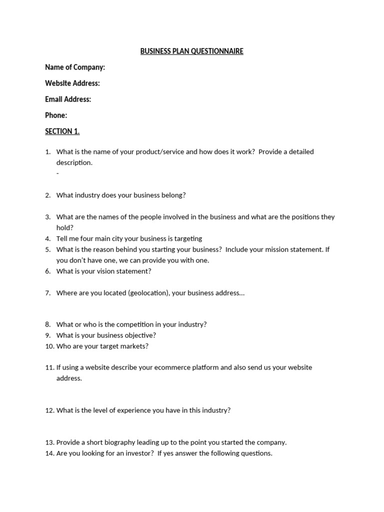 Business Plan Questionnaire (0001) | PDF