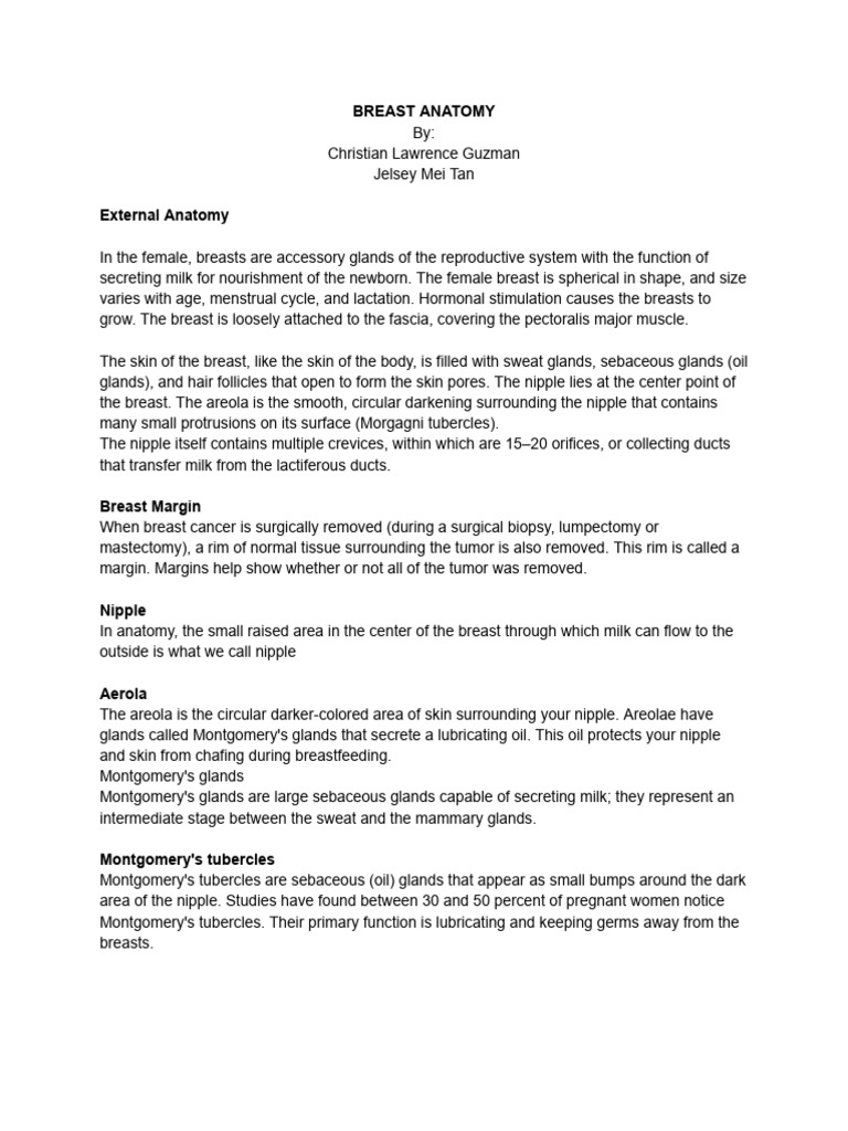 Breast Anatomy | PDF | Breast | Connective Tissue