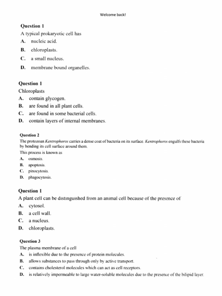 Exam Questions - Plasma Membrane | PDF