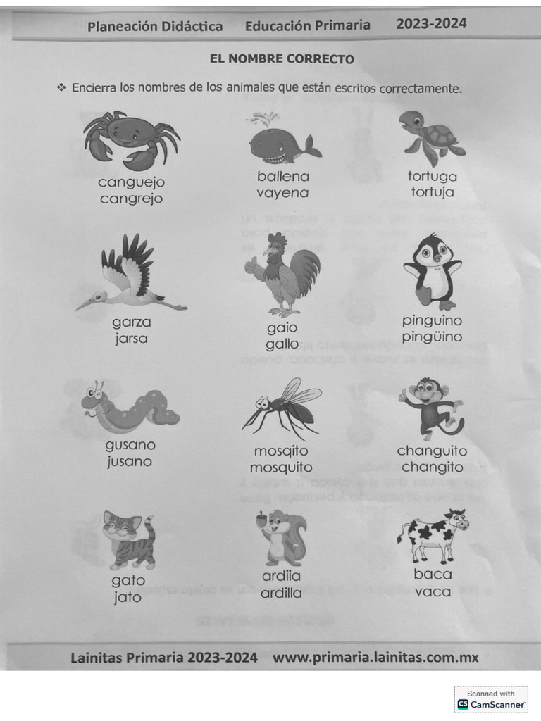 Tareas 20 de Febrero | PDF