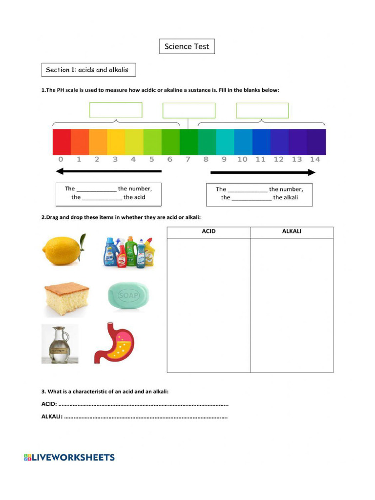 Acids and Bases Worksheet | PDF