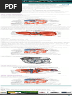 Anatomia do Sistema Venoso Ázigo | PDF | Fígado | Abdômen