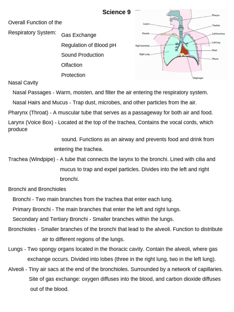 Science 9 1st grading | PDF | Dominance (Genetics) | Zygosity