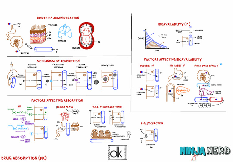 Microbiology Pharmacology - 009) Pharmacokinetics Drug Absorption ...