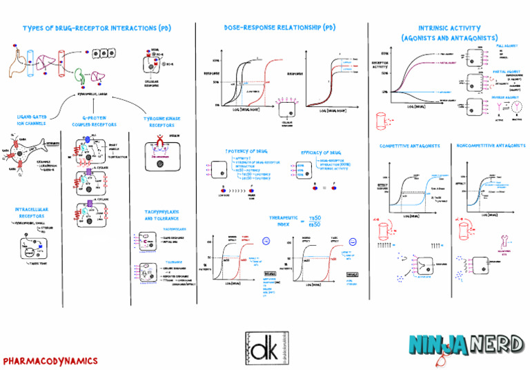 12000070 - Pharmacology Basics - 007 ] Pharmacodynamics [Illustrations ...