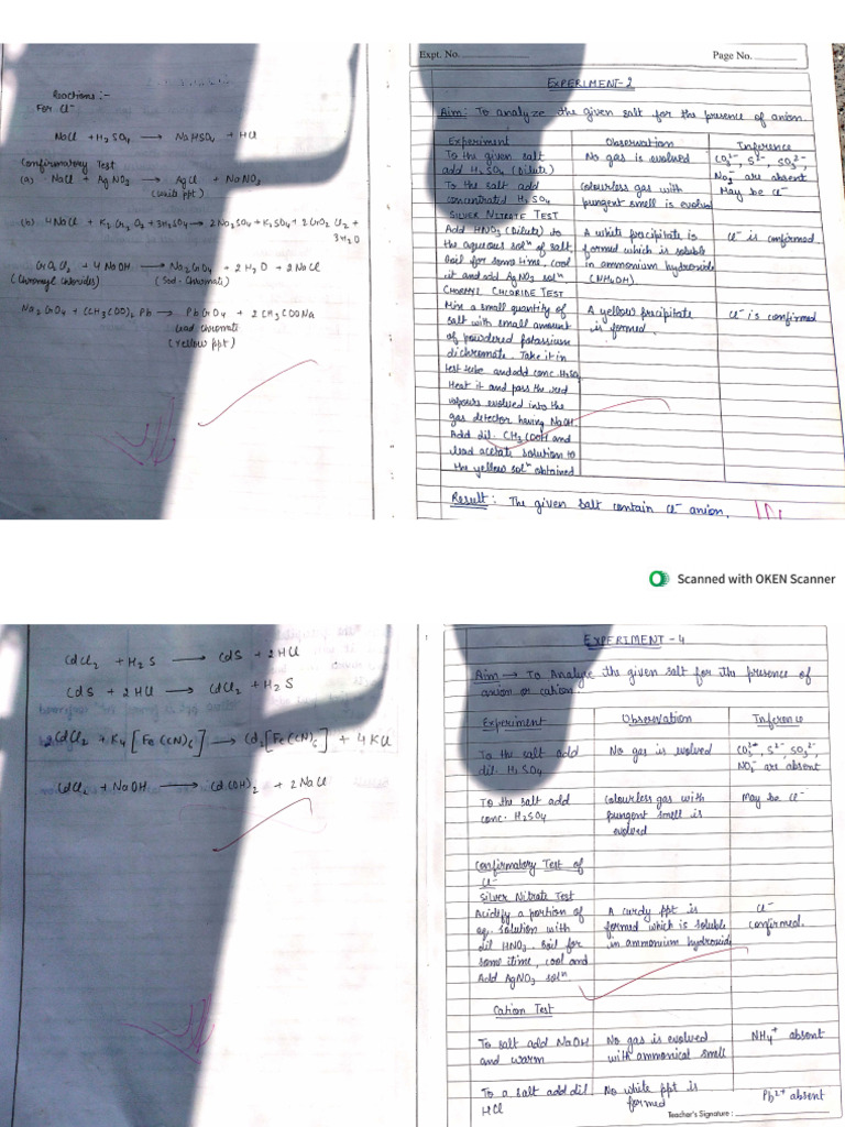 11th Practical | PDF