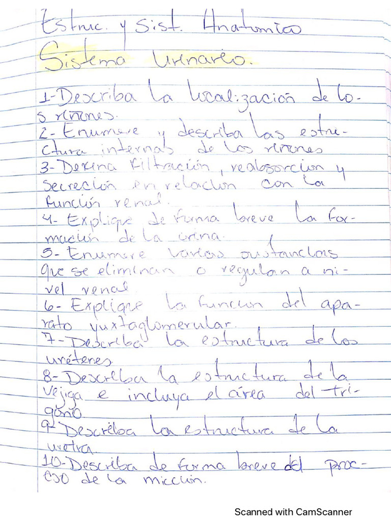 Sistema Urinario y Aparato Reproductor M - Compressed - Compressed - Compressed | PDF