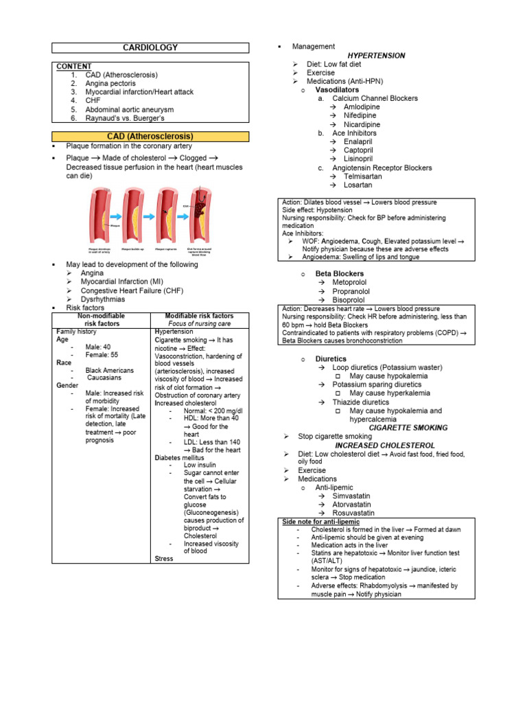 INAP - CARDIO - ICGB - PDF - PDF Expert | PDF | Myocardial Infarction ...