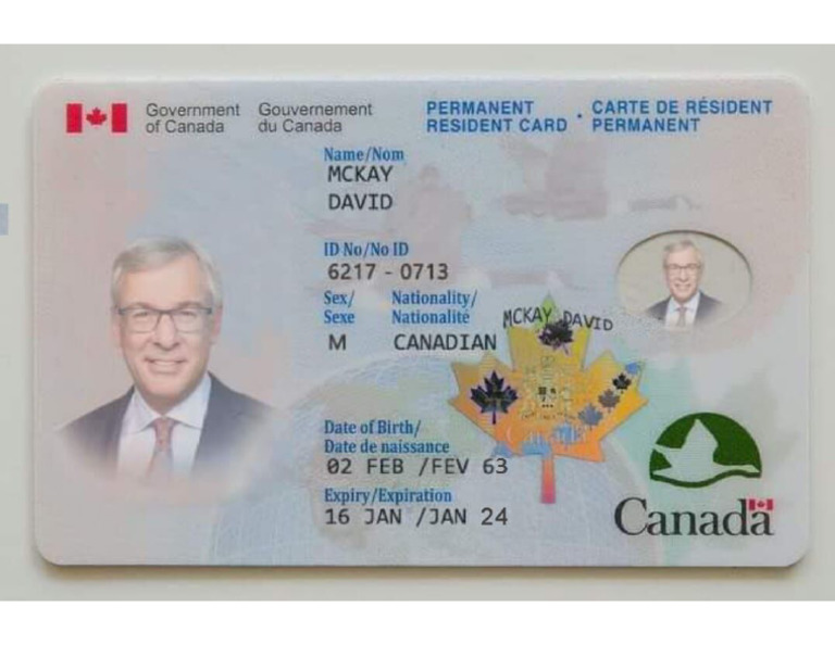 Id Card David | PDF